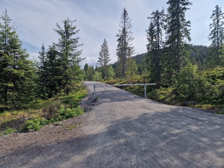 The 700M Climb in Oslo’s Backyard? - Cycle Norway